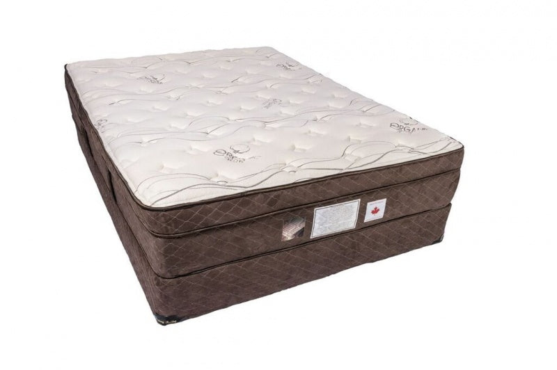 Prestige Latex / Memory Foam – Bestwaybedding